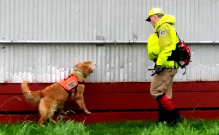 Sierra the Search Dog – Books for all ages about the adventures of K9 ...